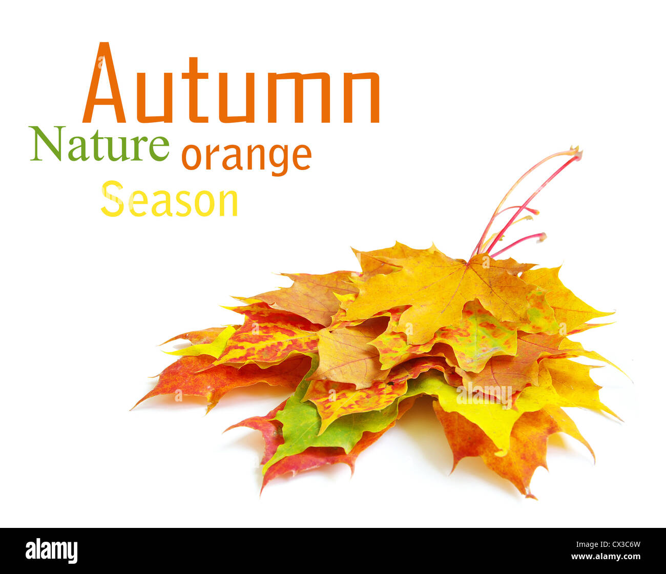 Autumn fall banner golden Cut Out Stock Images & Pictures - Alamy