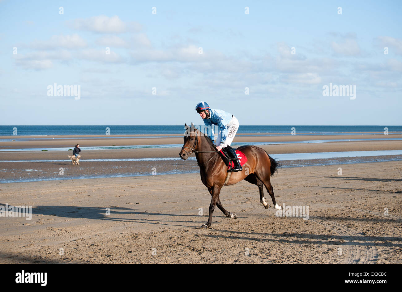 Laytown Racecourse High Resolution Stock Photography and Images - Alamy