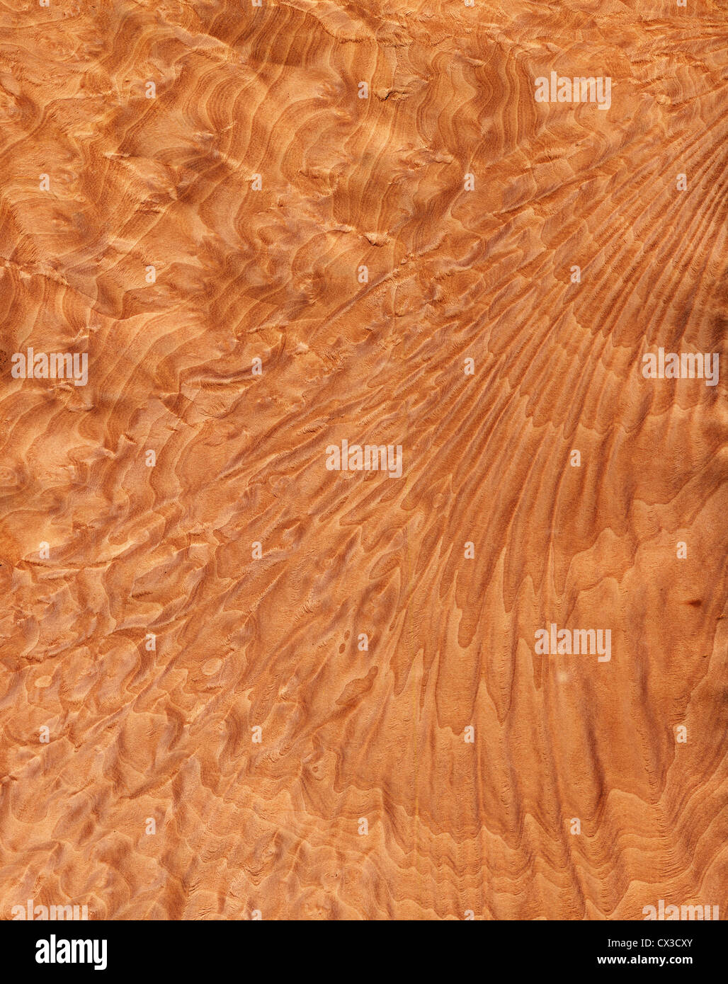 Root wood veneer hi-res stock photography and images - Alamy