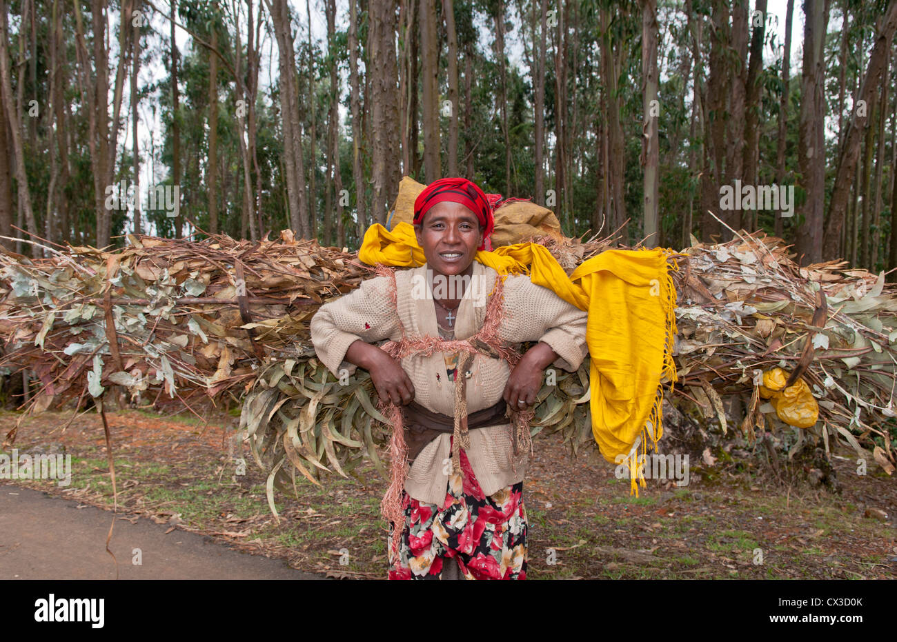 Addis Ababa Ethiopia Africa poor neighborhood woman carrying big load ...