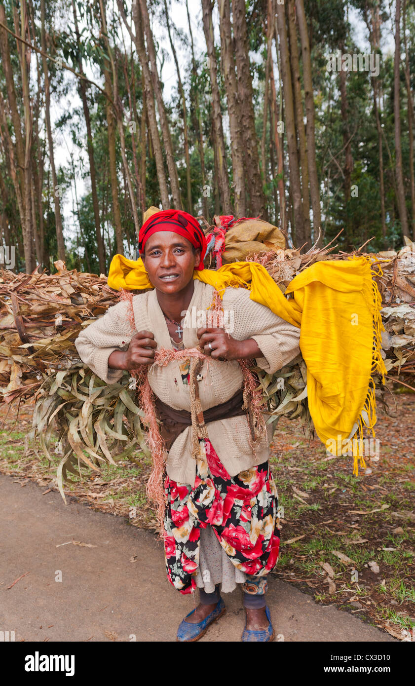 Addis Ababa Ethiopia Africa poor neighborhood woman carrying big load ...