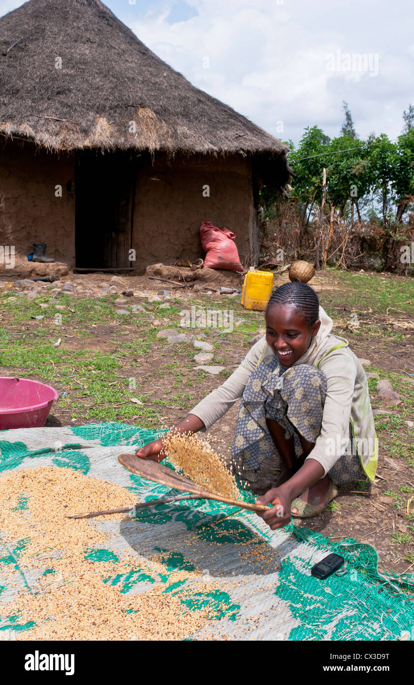Melka Country Ethiopia Africa Oromo Tribe woman working shifting corn ...