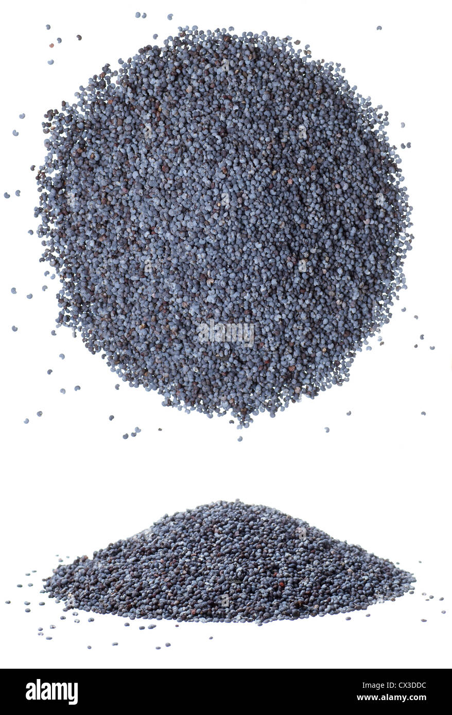 Closeup of poppy seeds isolated on white Stock Photo - Alamy