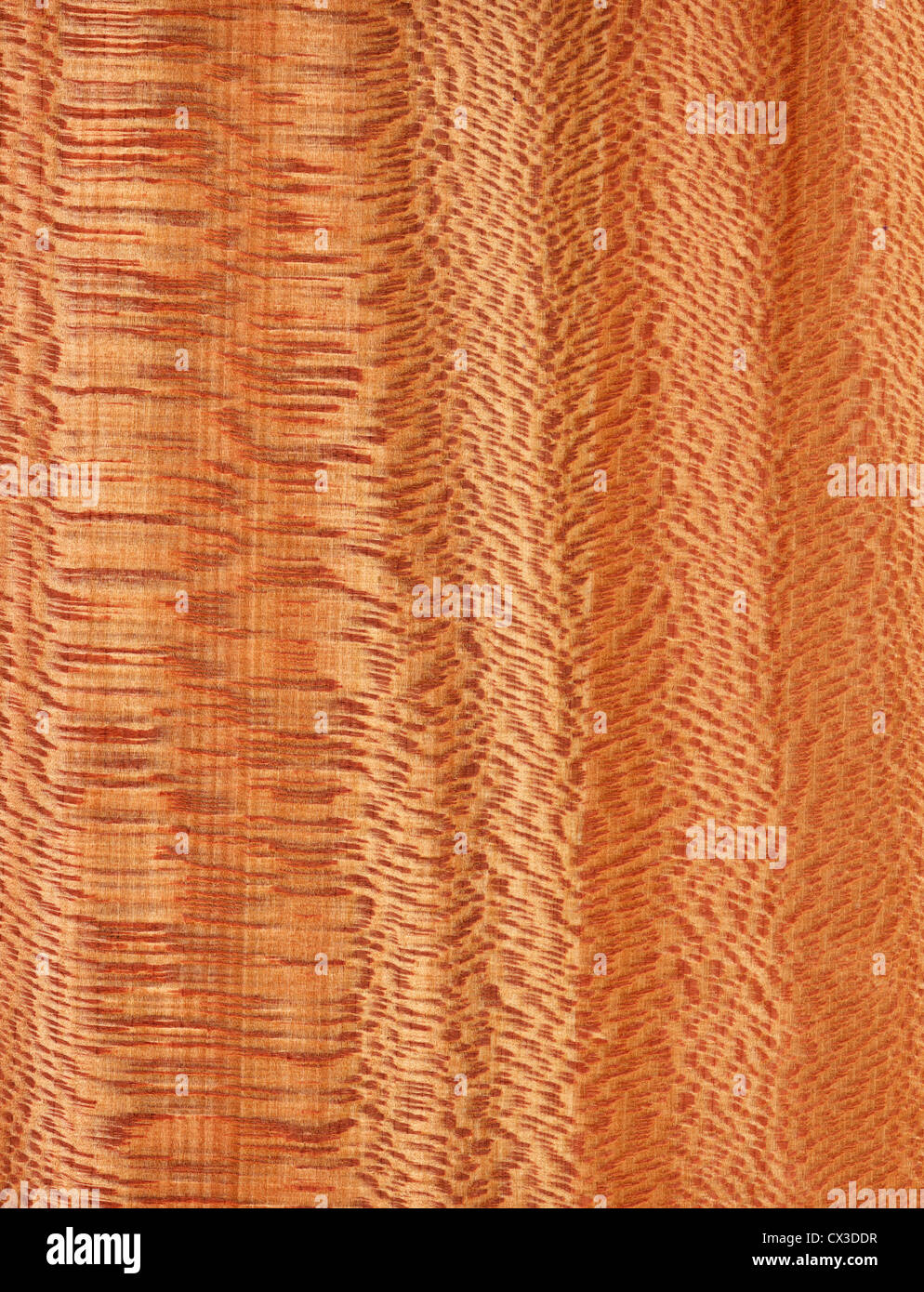 Texture of platanus (high-detailed wood texture series Stock Photo - Alamy