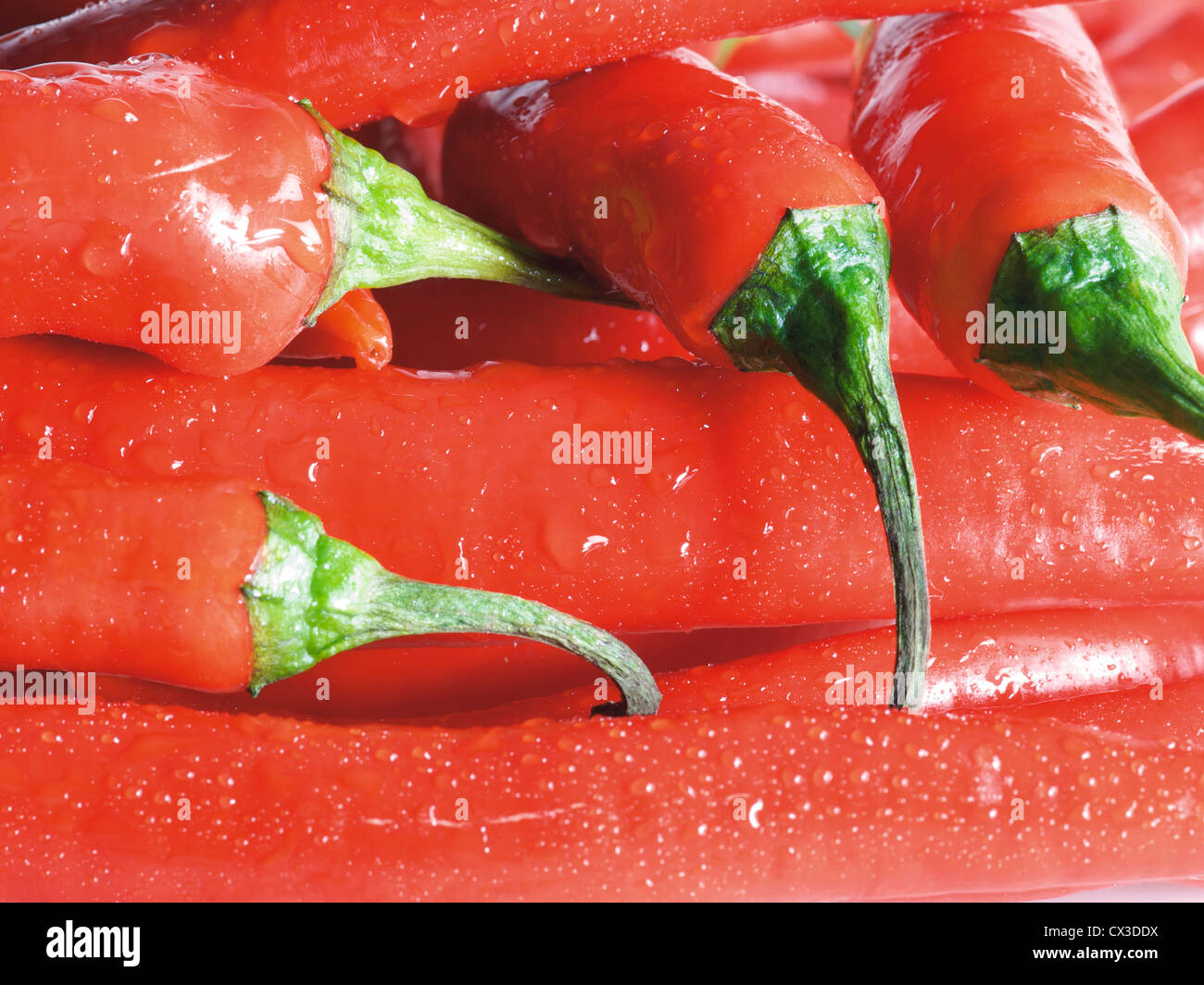 Red chillies with water Stock Photo - Alamy
