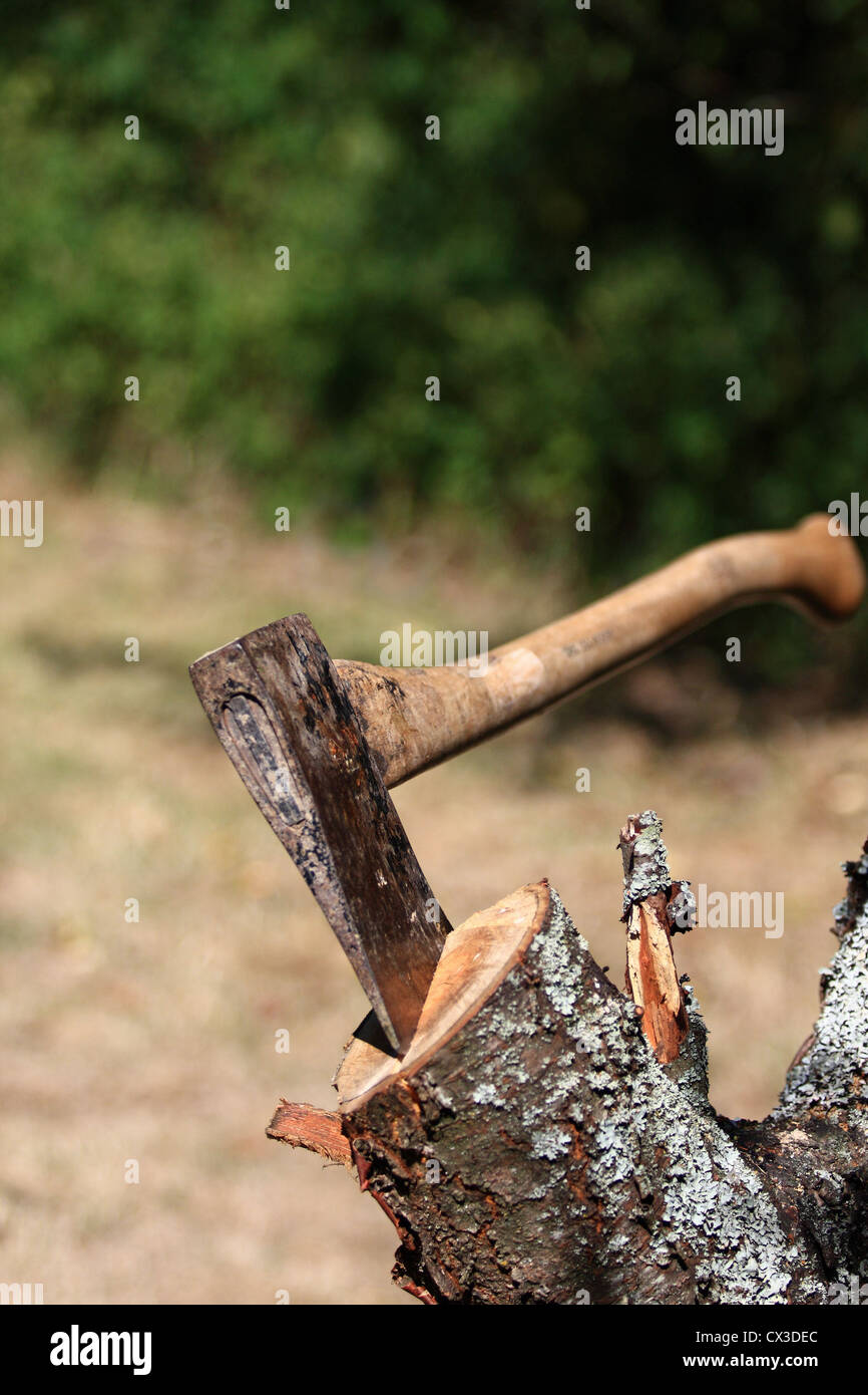 an axe with is head buried in the cut surface of a tree trunk Stock ...