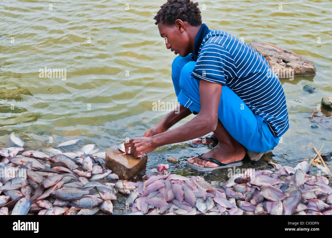 Lake Langano Ethiopia Africa Oromo Tribe boy cleaning fish from lake to ...