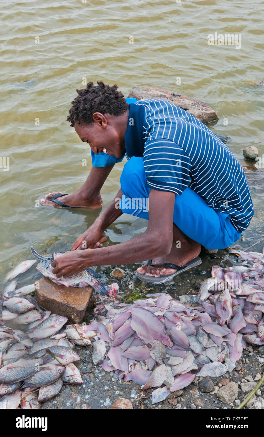 Lake Langano Ethiopia Africa Oromo Tribe boy cleaning fish from lake to ...