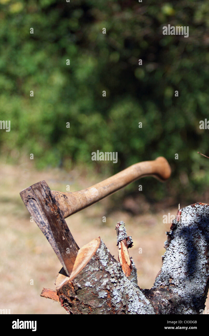 an axe with is head buried in the cut surface of a tree trunk Stock ...