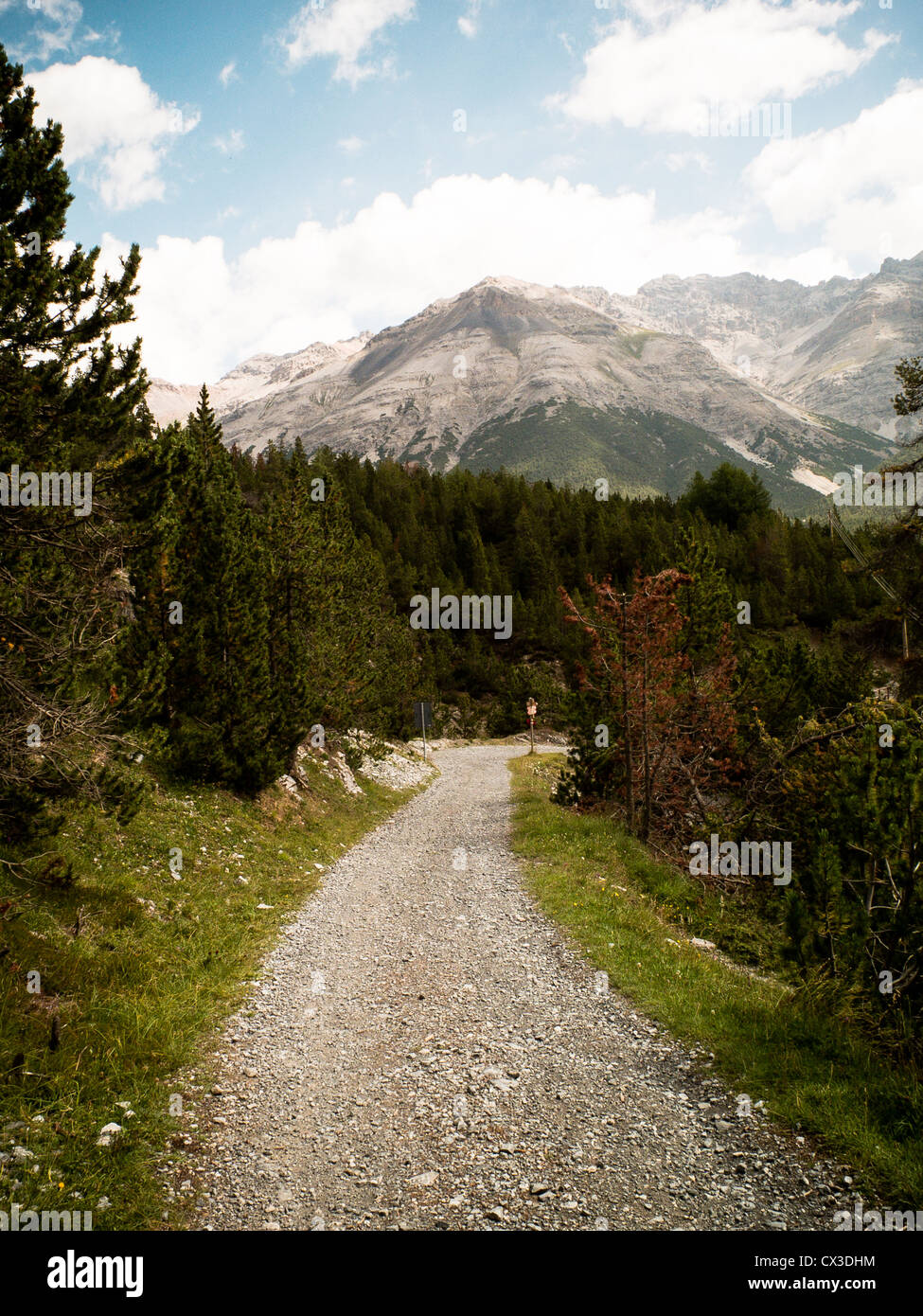 Alpisella Valley, Stelvio National Park, Bormio, Lombardy, Italy Stock ...