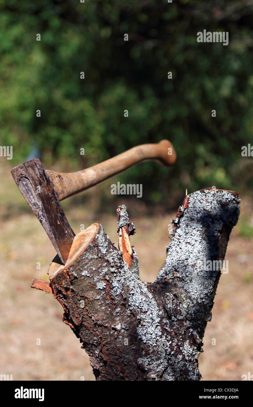 Tree Cutting Axe High Resolution Stock Photography and Images - Alamy