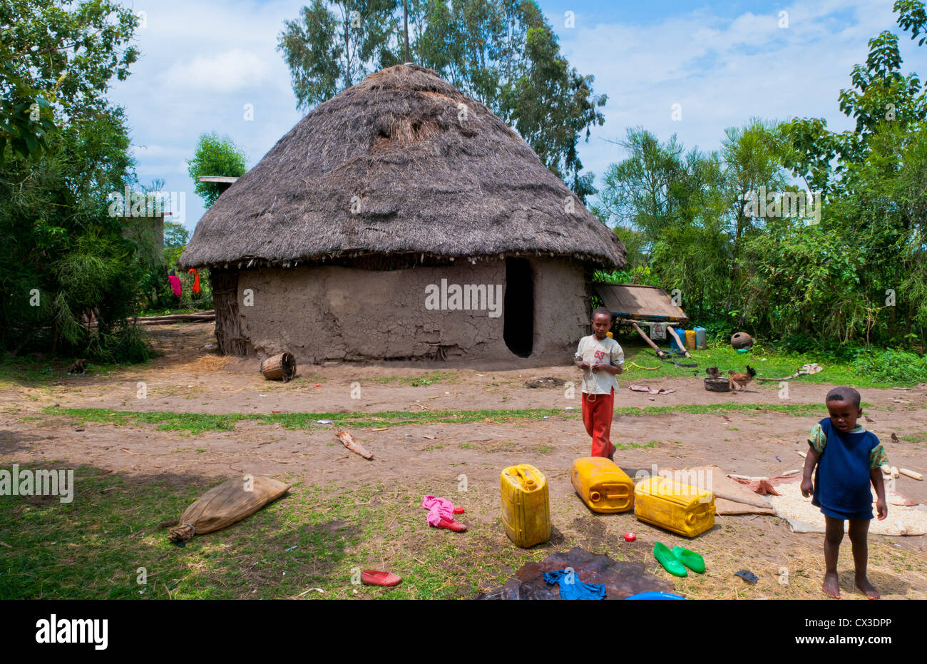 Shashemene Ethiopia Africa Alaba tribe home with animals and yard for ...