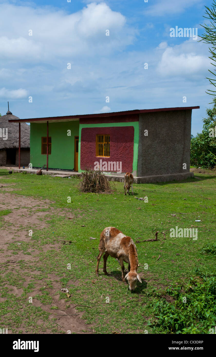 Shashemene Ethiopia Africa Alaba tribe home with animals and yard for ...