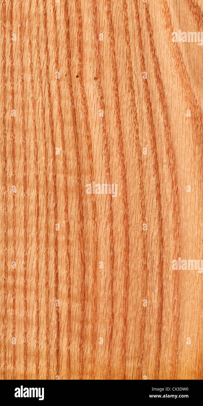 Texture of ukrainian oak (high-detailed wood texture series Stock Photo ...