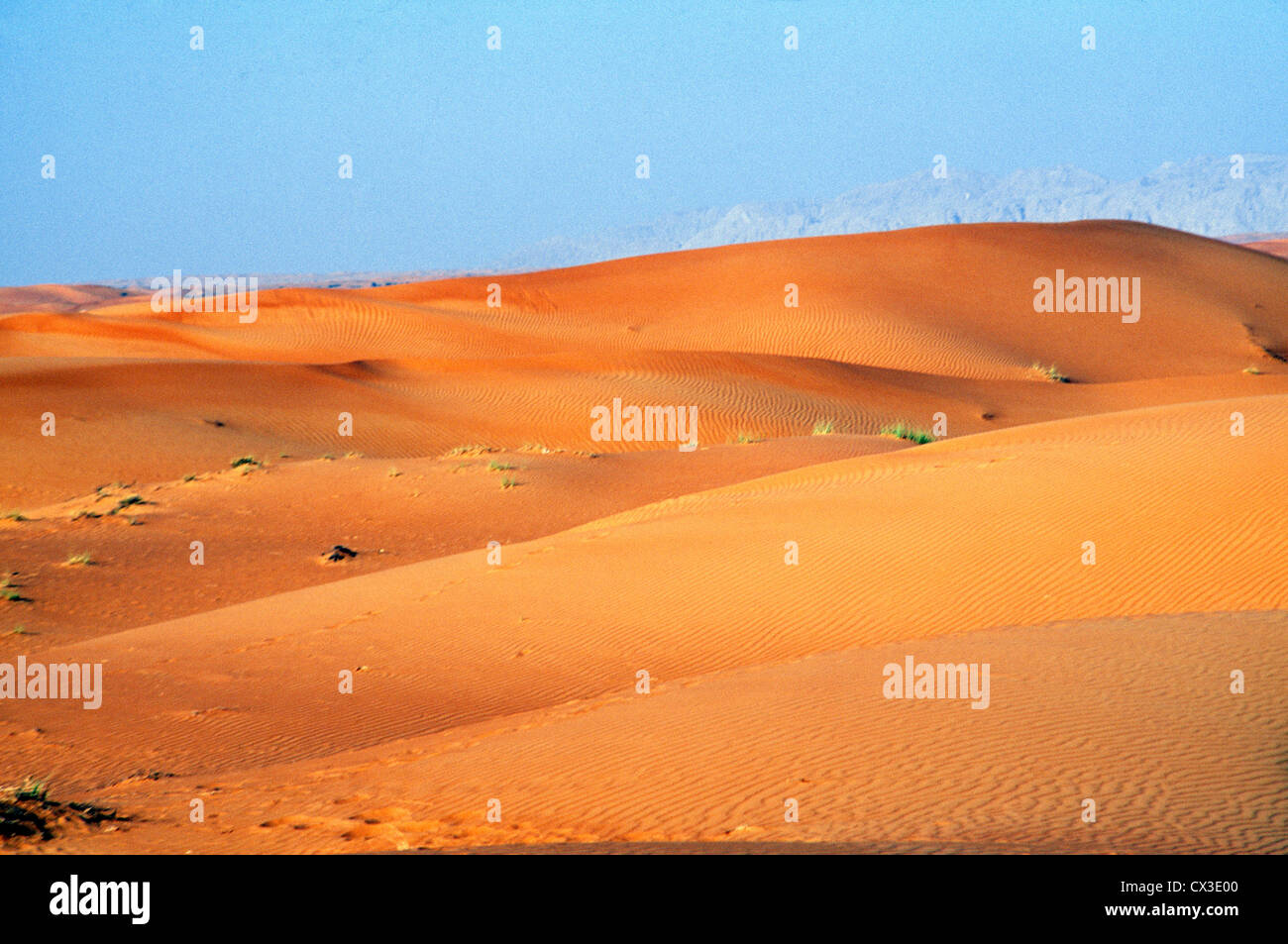 Abu Dhabi UAE Desert Near Al Ain Sand Dunes Stock Photo - Alamy