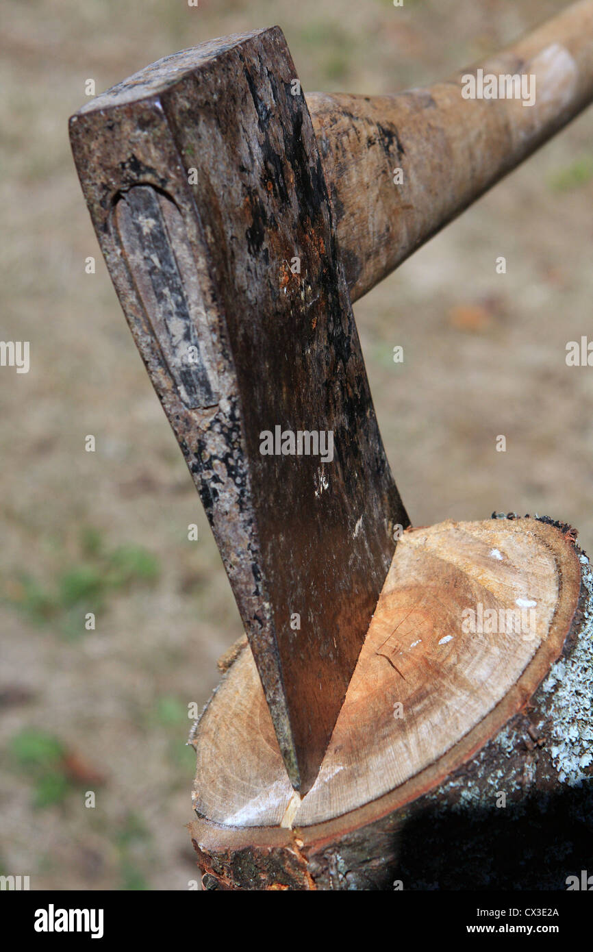 an axe with is head buried in the cut surface of a tree trunk Stock ...