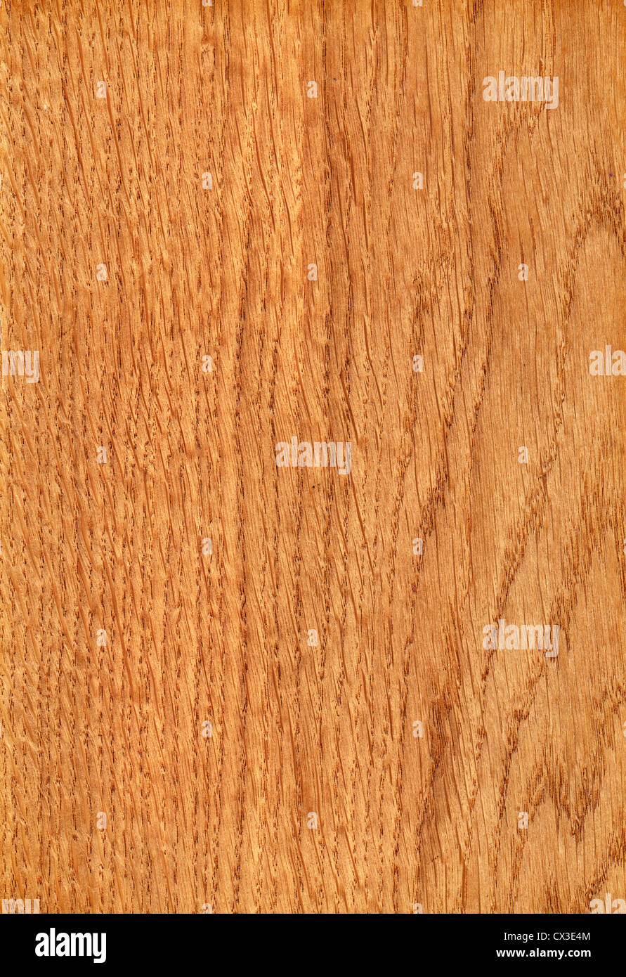 Texture of ukrainian oak (high-detailed wood texture series Stock Photo ...