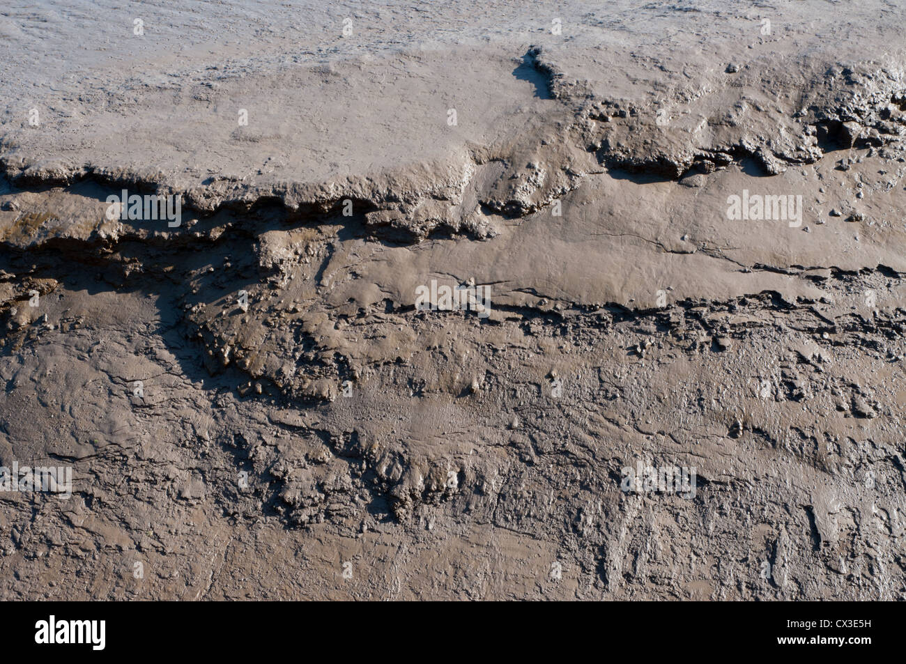 Mud and silt deposited by currents low tide estuary side lit sunny ...