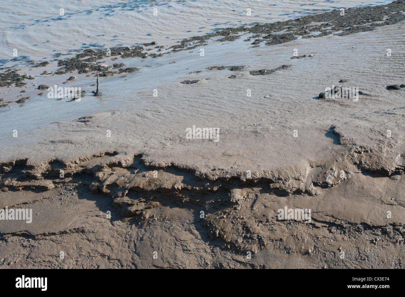 Mud and silt deposited by currents low tide estuary side lit sunny ...