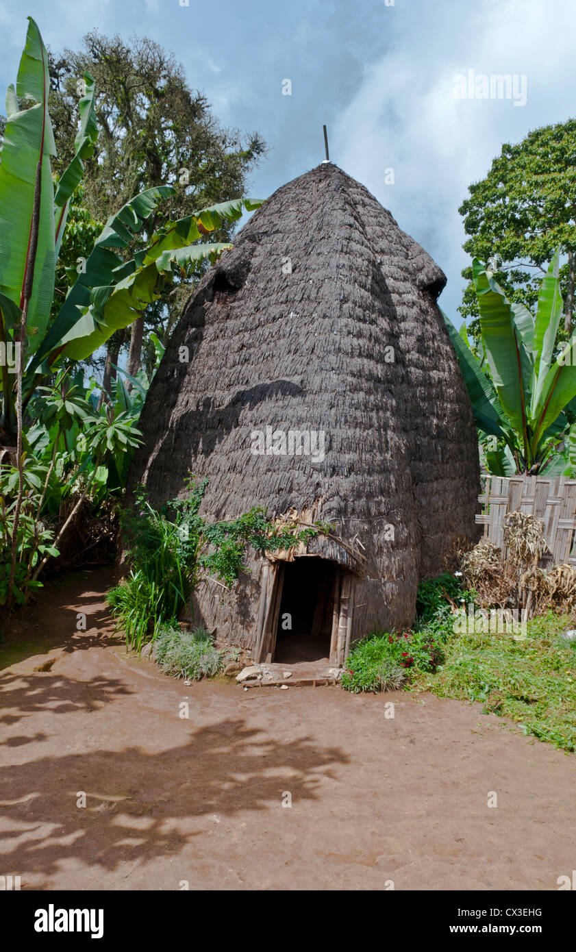 Arba Minch Chencha Ethiopia Africa Dorze tribe village elephant type ...