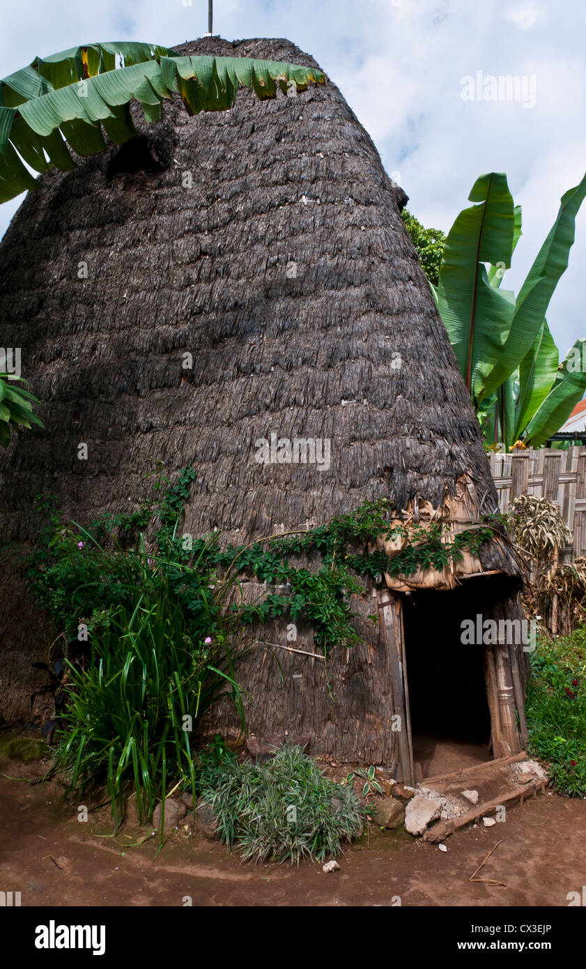Arba Minch Chencha Ethiopia Africa Dorze tribe village elephant type ...