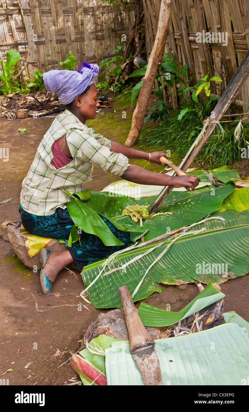 Arba Minch Chencha Ethiopia Africa Dorze tribe village woman scraping ...