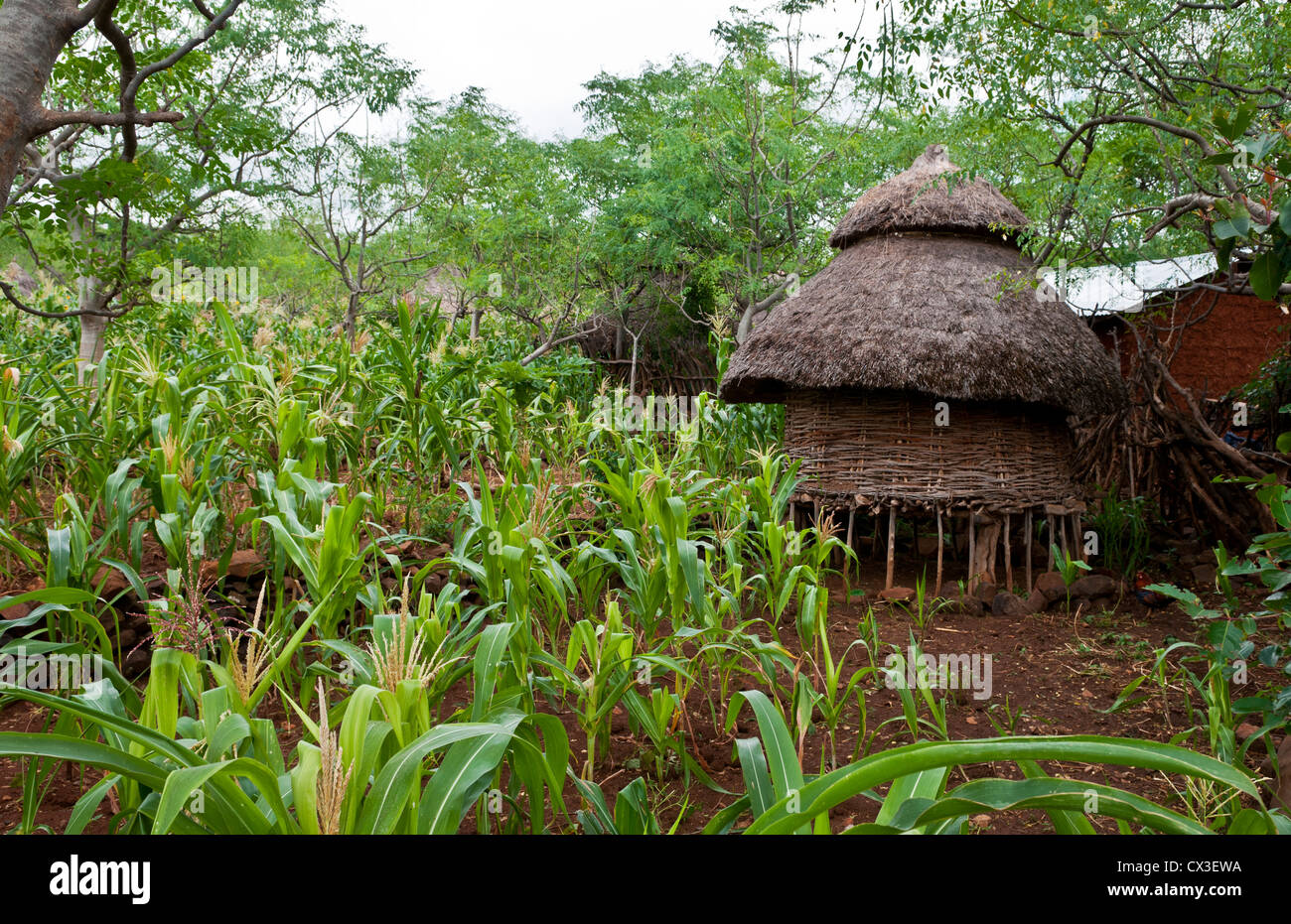 Village jinka tribe hi-res stock photography and images - Alamy