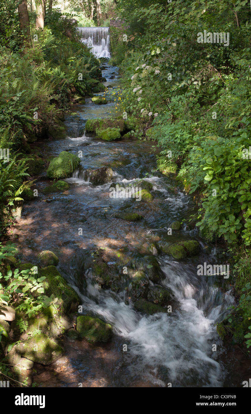 Woodland stream flowing over rocks with trees lining banks, waterfall ...