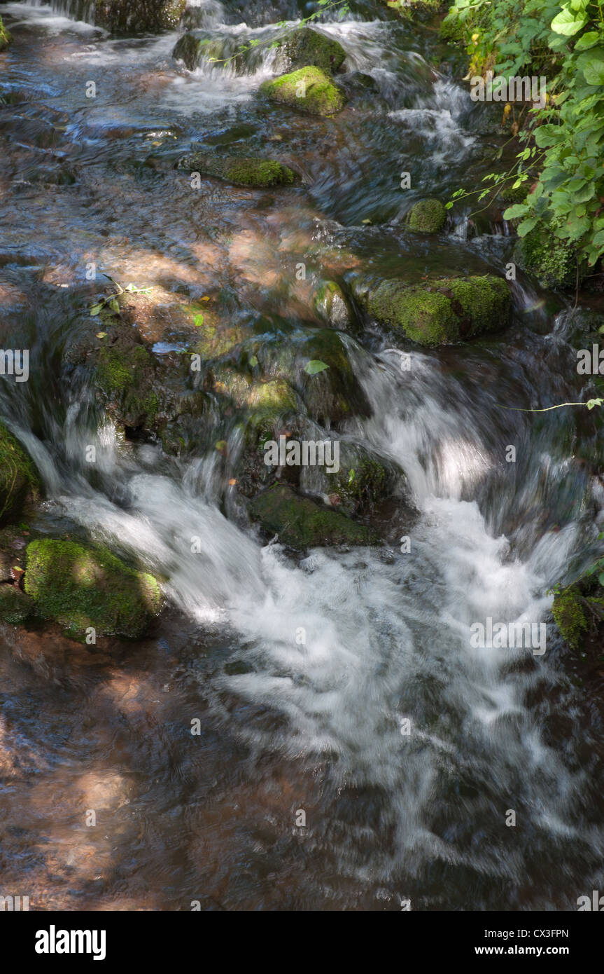 Woodland stream flowing over rocks with trees lining banks, waterfall ...