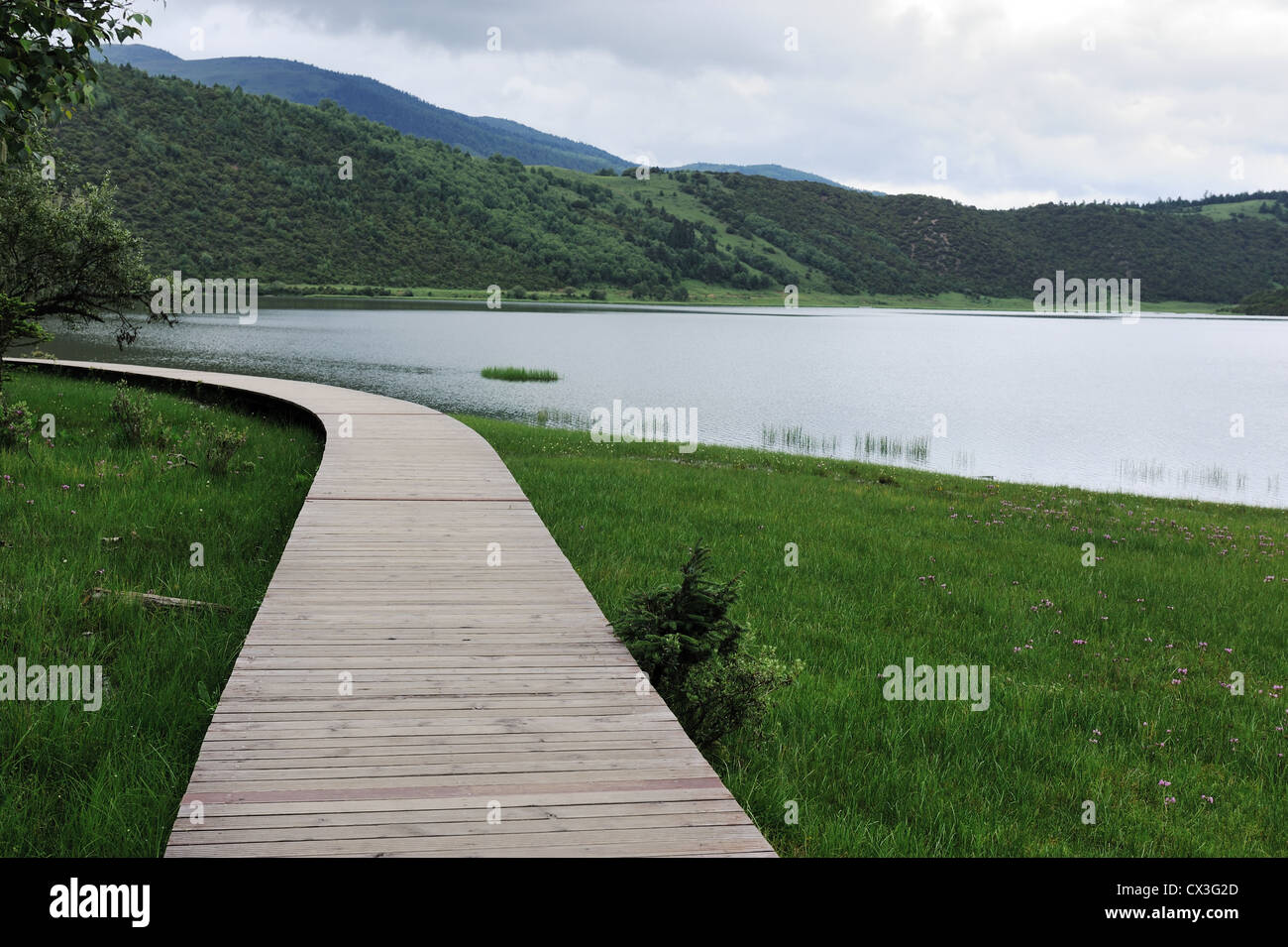Plank road hi-res stock photography and images - Alamy
