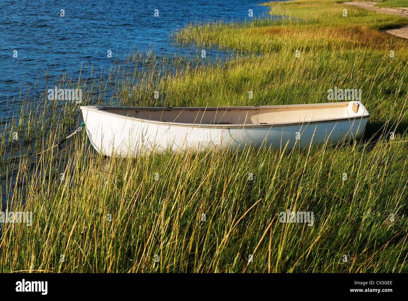 Rowboat in marsh grass, Cape Cod, Massachusetts, USA Stock Photo - Alamy
