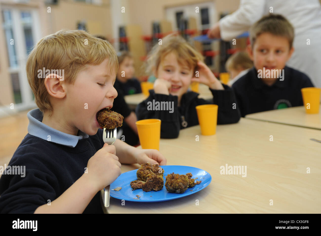 Primary School Lunchtime School Canteen High Resolution Stock ...