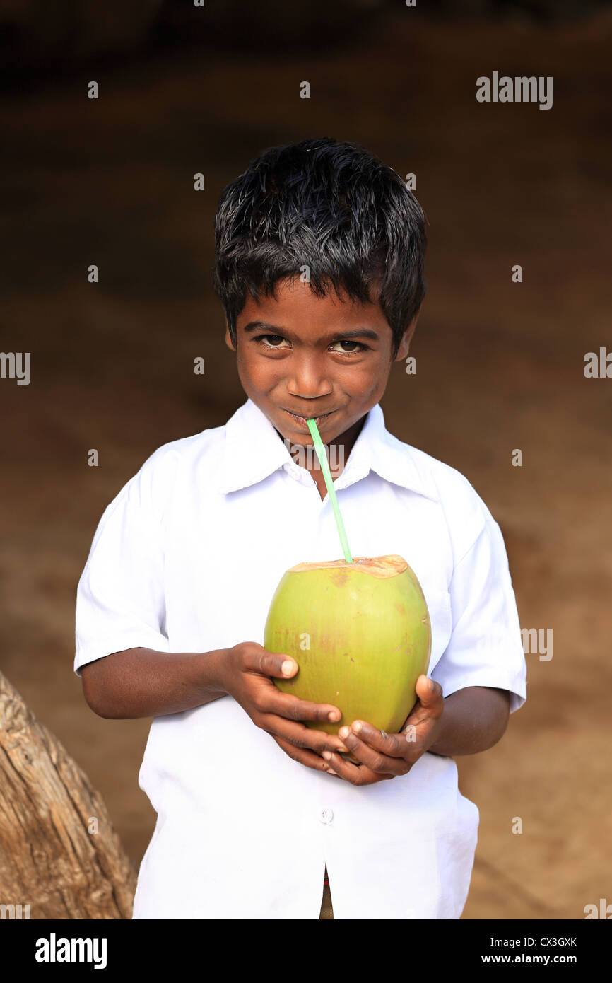 Young Indian boy drinking from a coconut Andhra Pradesh South India ...