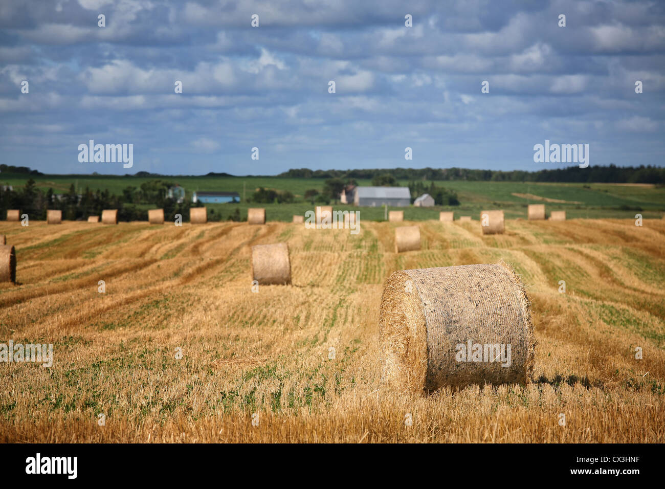 Straw island hi-res stock photography and images - Alamy