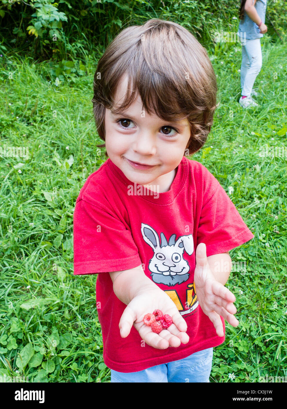child holding raspberries Stock Photo - Alamy