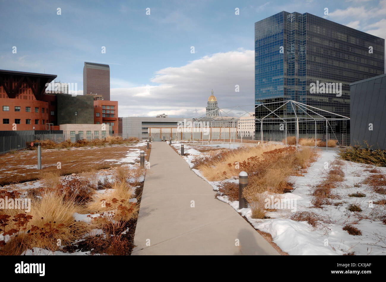 Denver Art Museum Residences, Denver, United States. Architect: Daniel ...