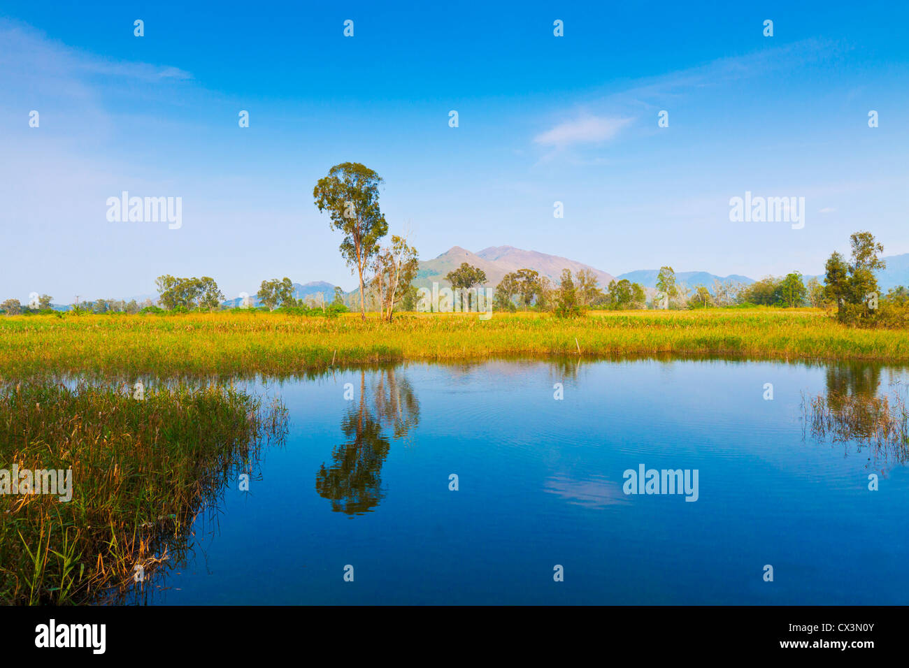 Hong kong wetland park hi-res stock photography and images - Alamy
