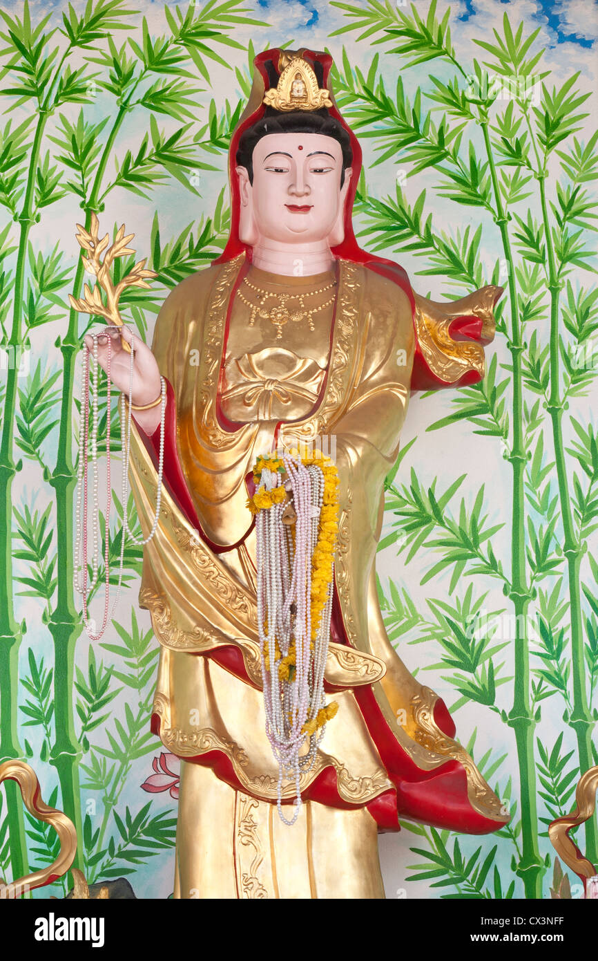 Plant Of Guan Yin