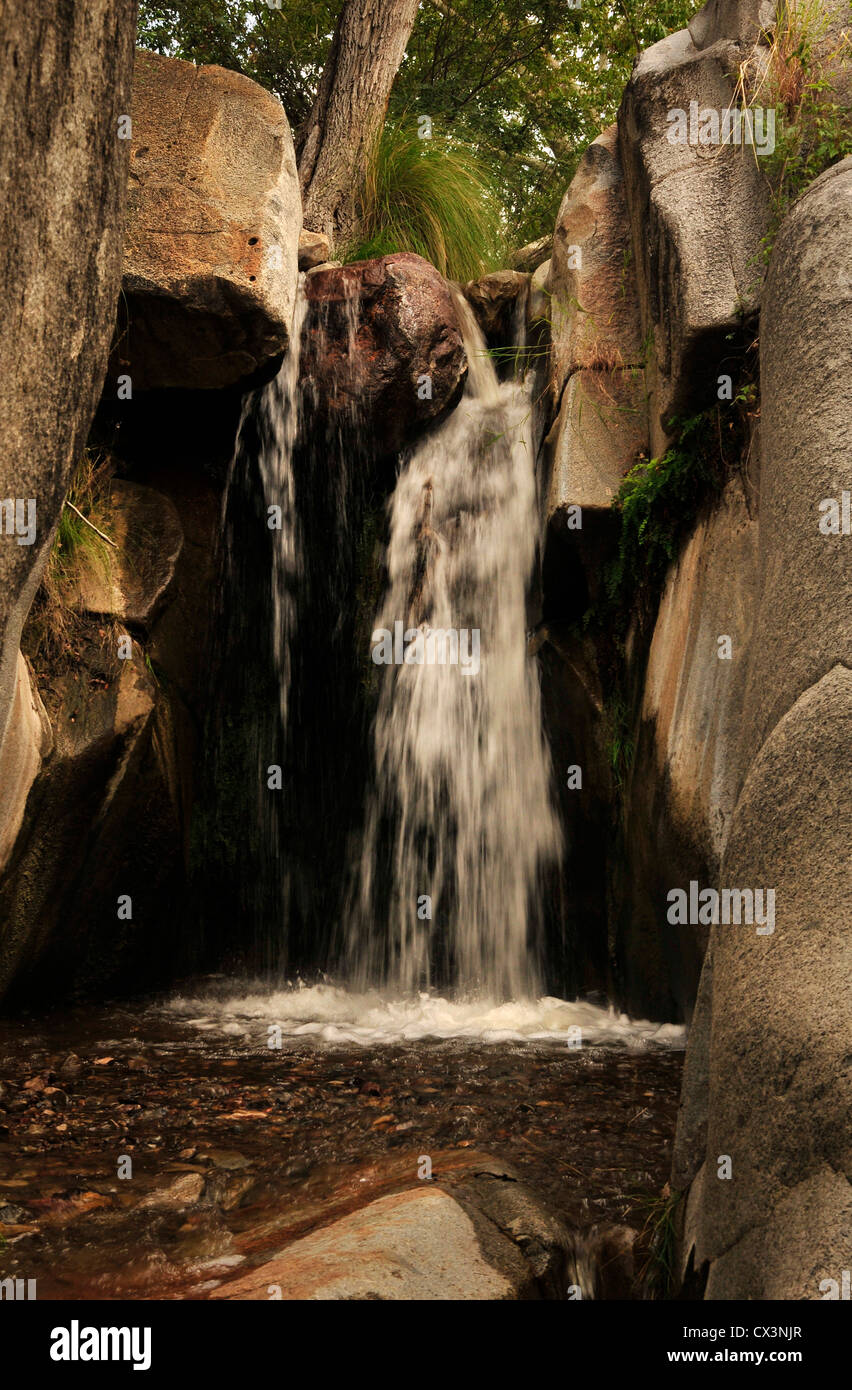Madera Creek flows in Madera Canyon in the Santa Rita Mountains ...