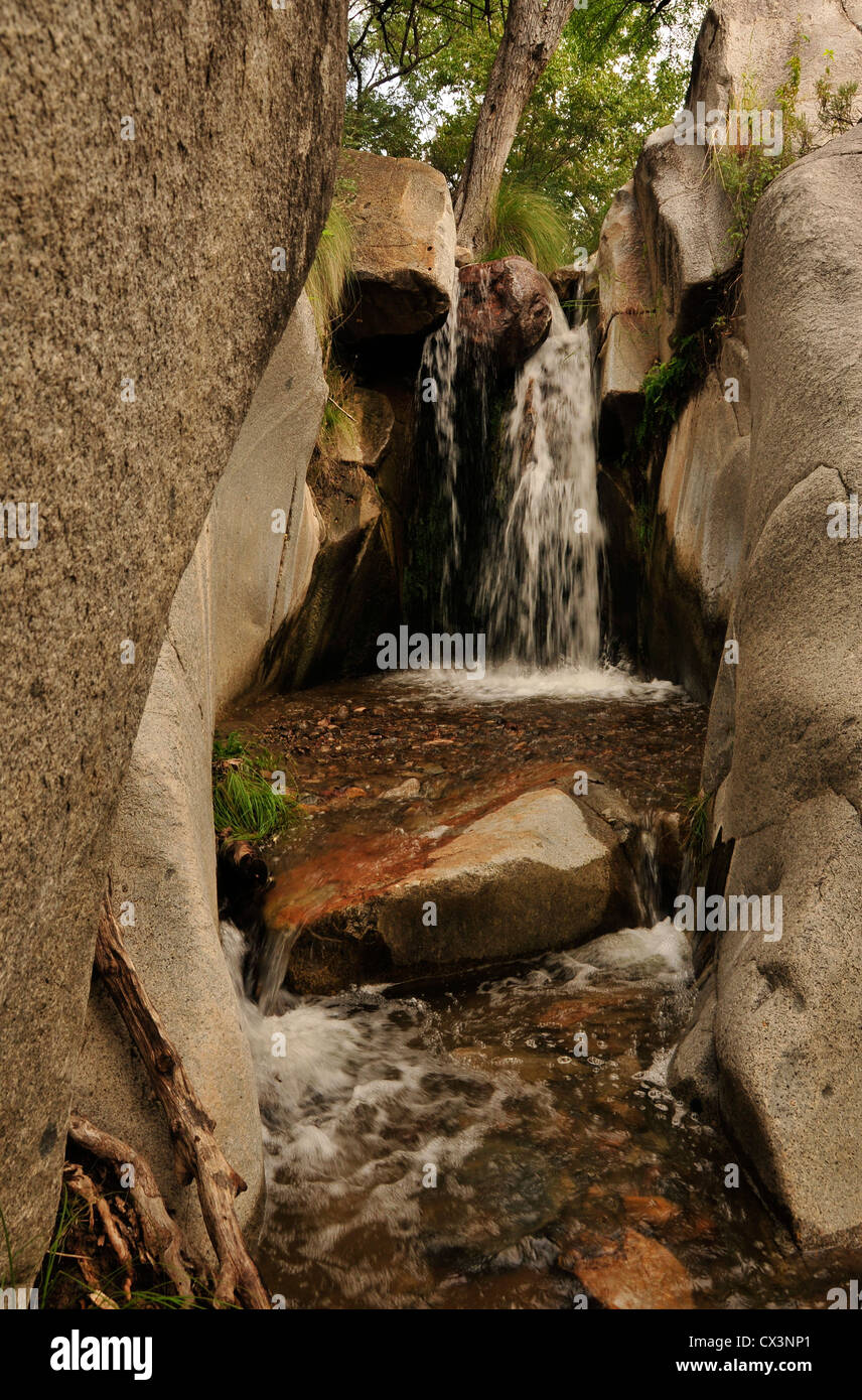 Madera Creek flows in Madera Canyon in the Santa Rita Mountains ...
