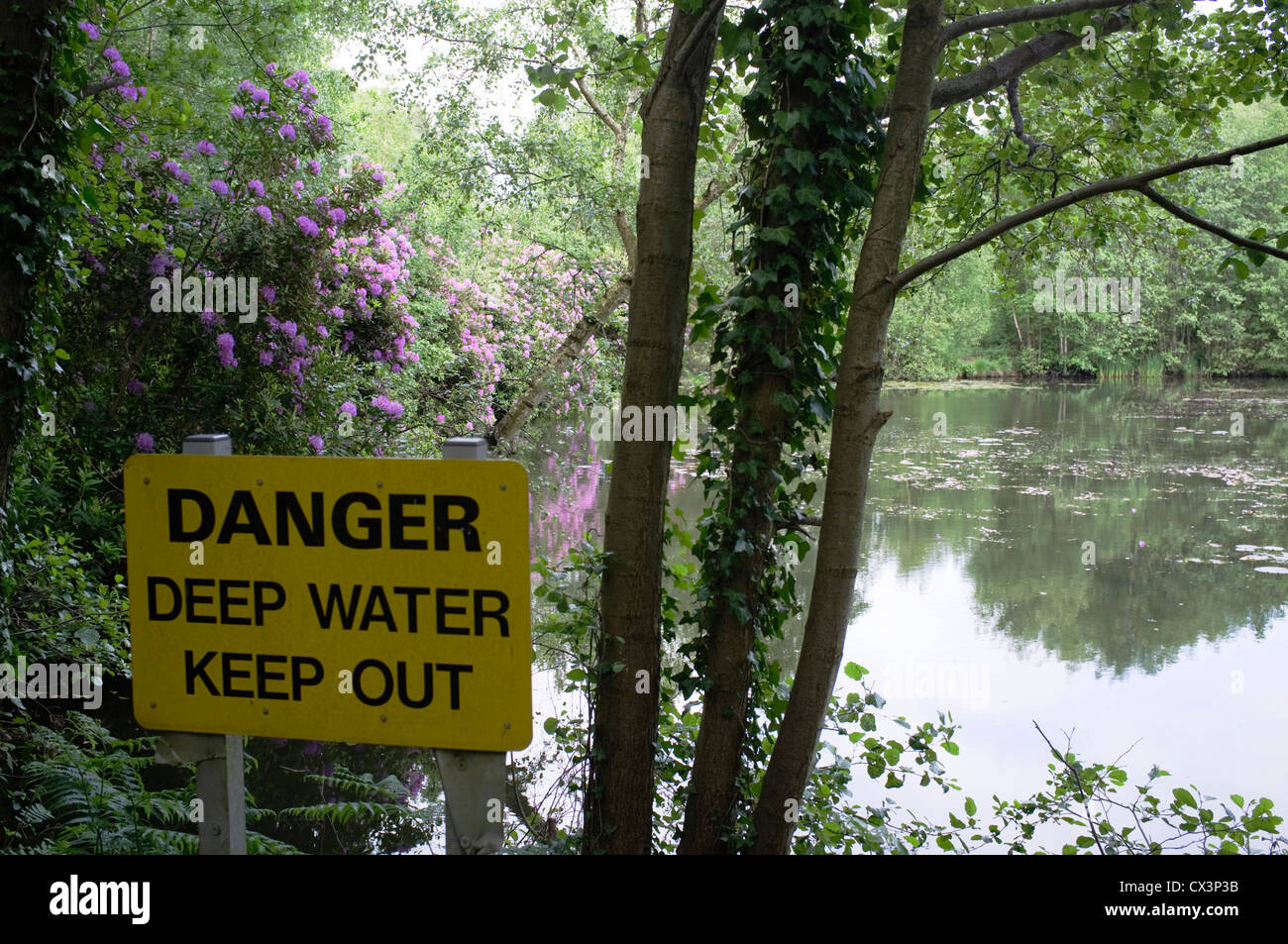 Crowthorne Old Reservoir, Butter Bottom, Berkshire Stock Photo - Alamy