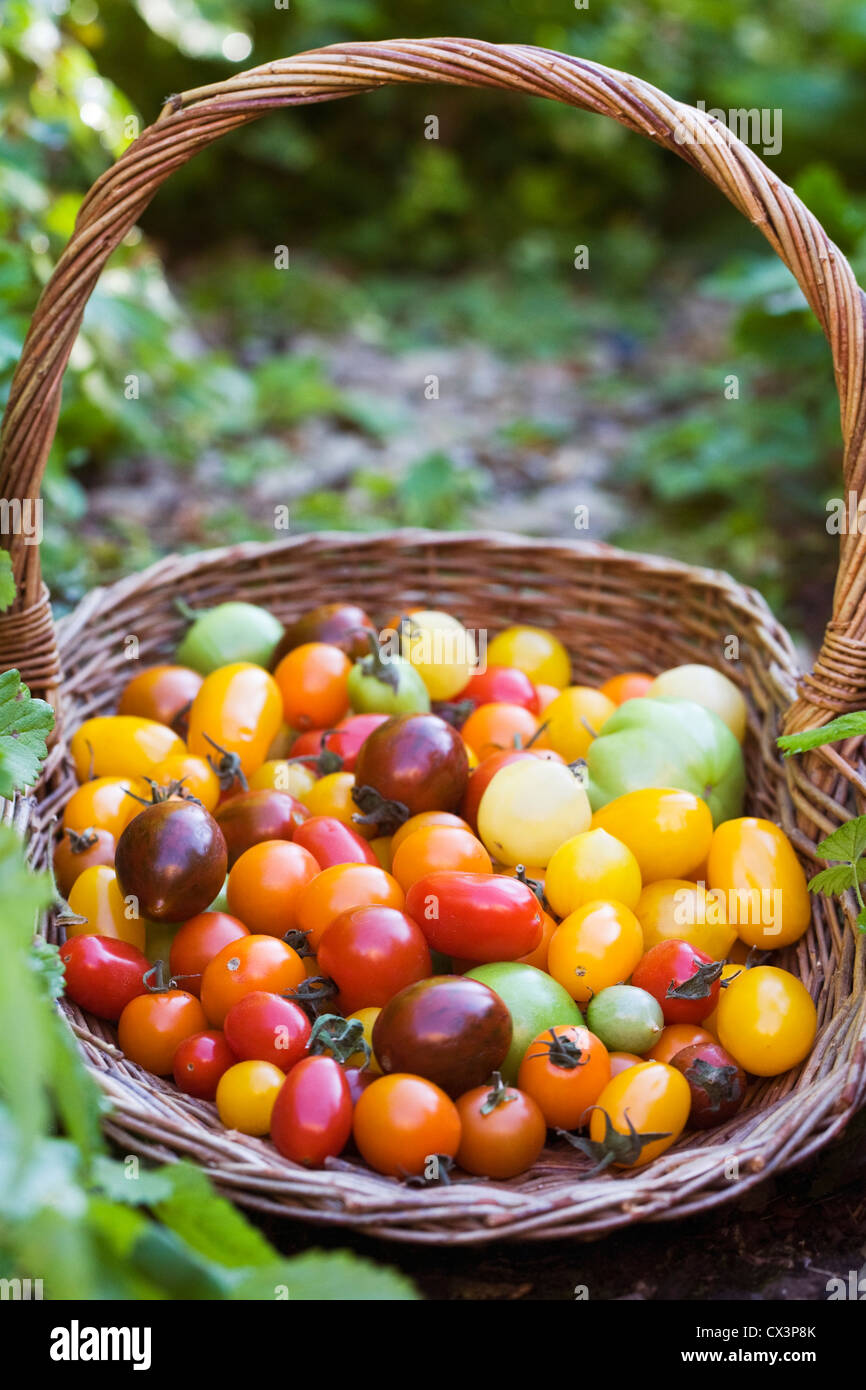 Trug vegetables hi-res stock photography and images - Alamy
