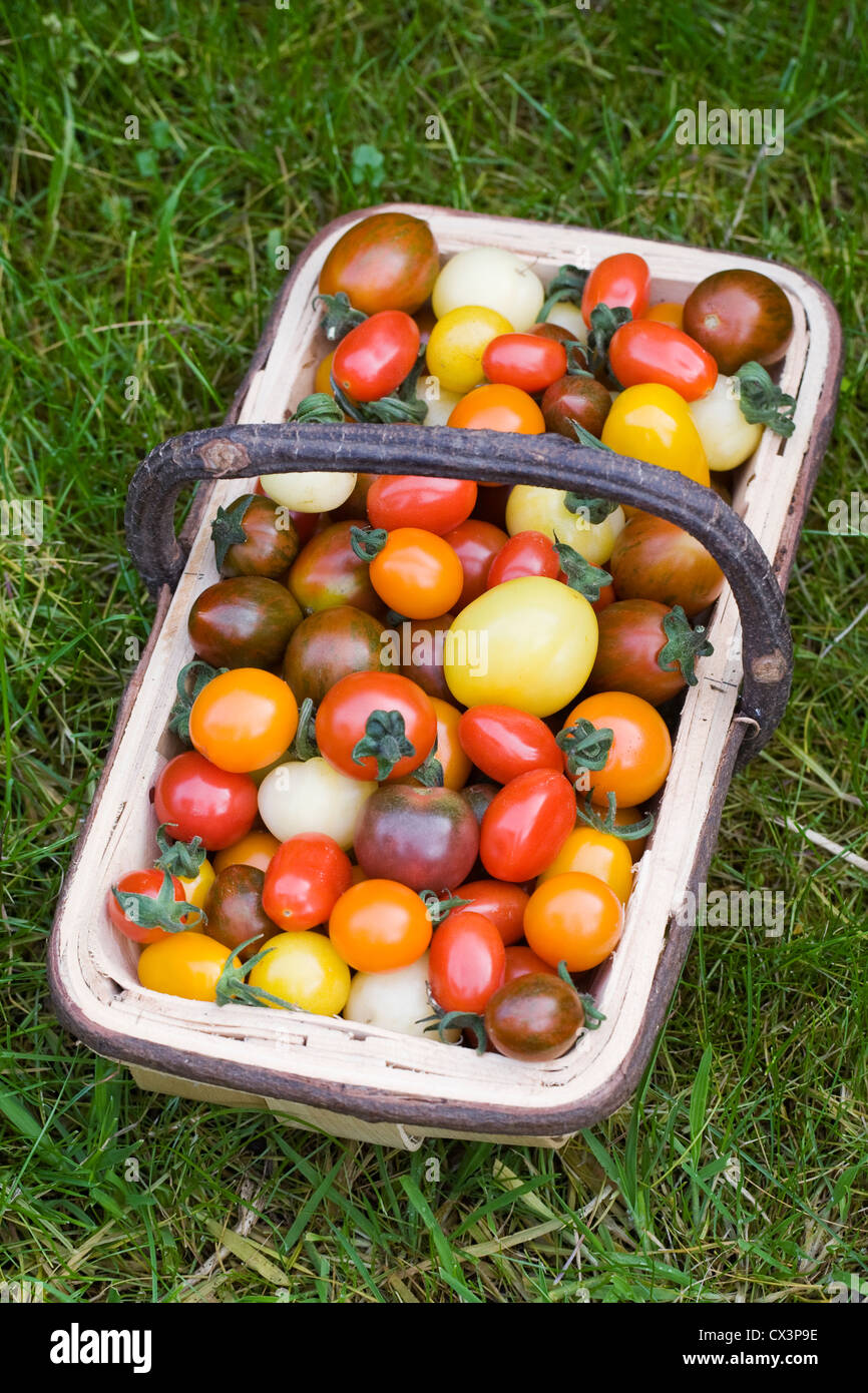 Wooden garden trug hi-res stock photography and images - Alamy