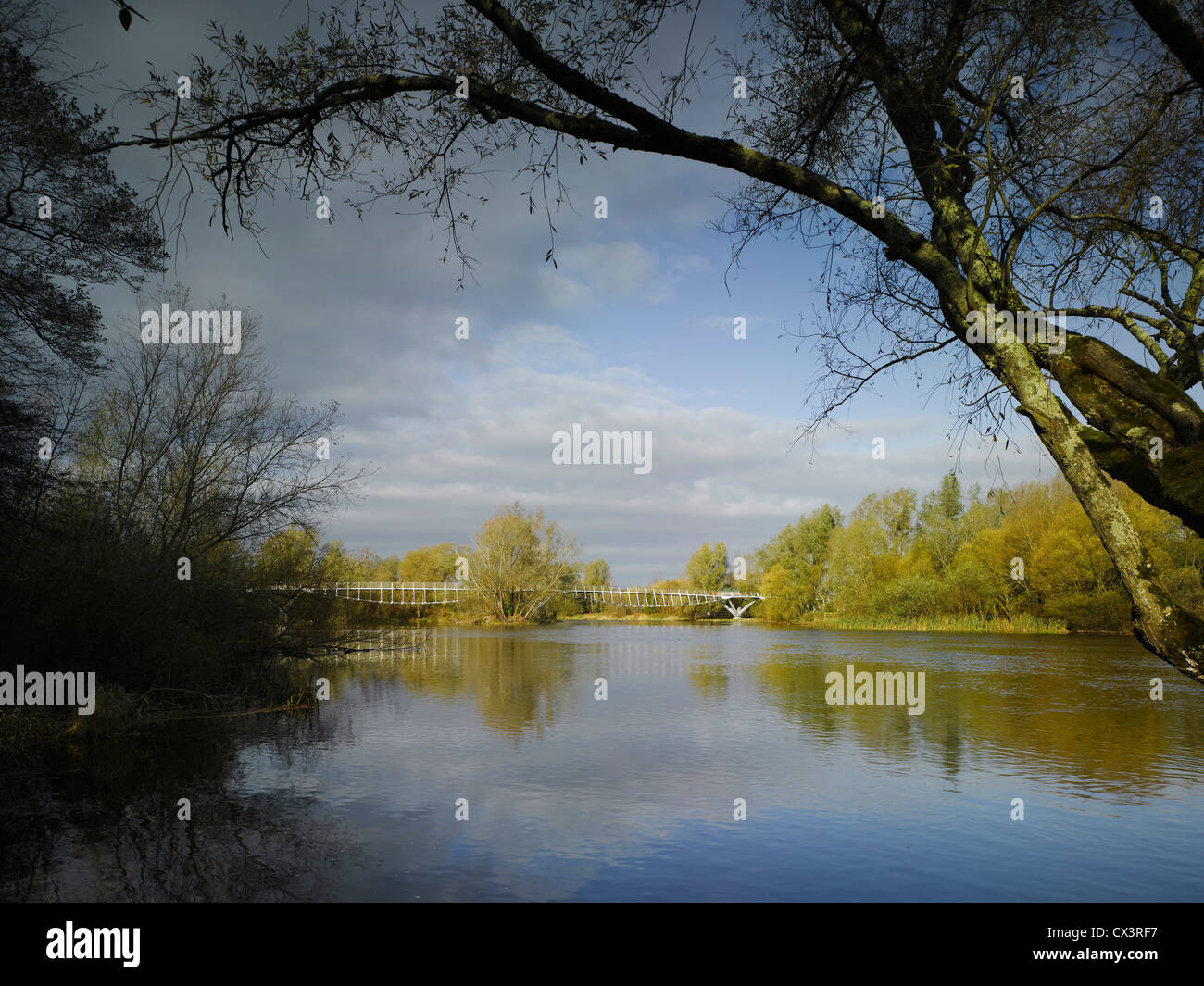 University of Limerick: Living Bridge, Limerick, Ireland. Architect ...
