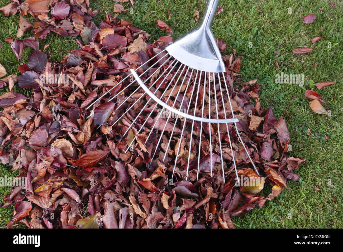 Autumn leaves pile and rake Stock Photo - Alamy