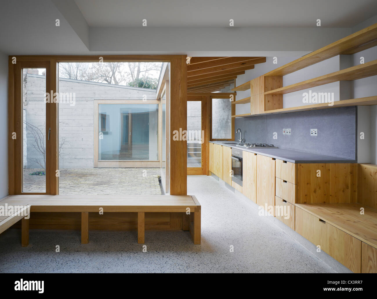 Laneway Wall Garden House, Portobello, Ireland. Architect: Donaghy ...