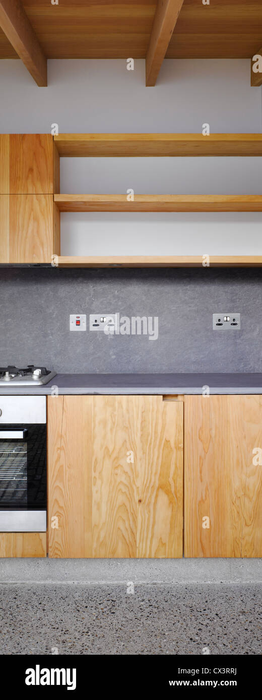 Laneway Wall Garden House, Portobello, Ireland. Architect: Donaghy ...