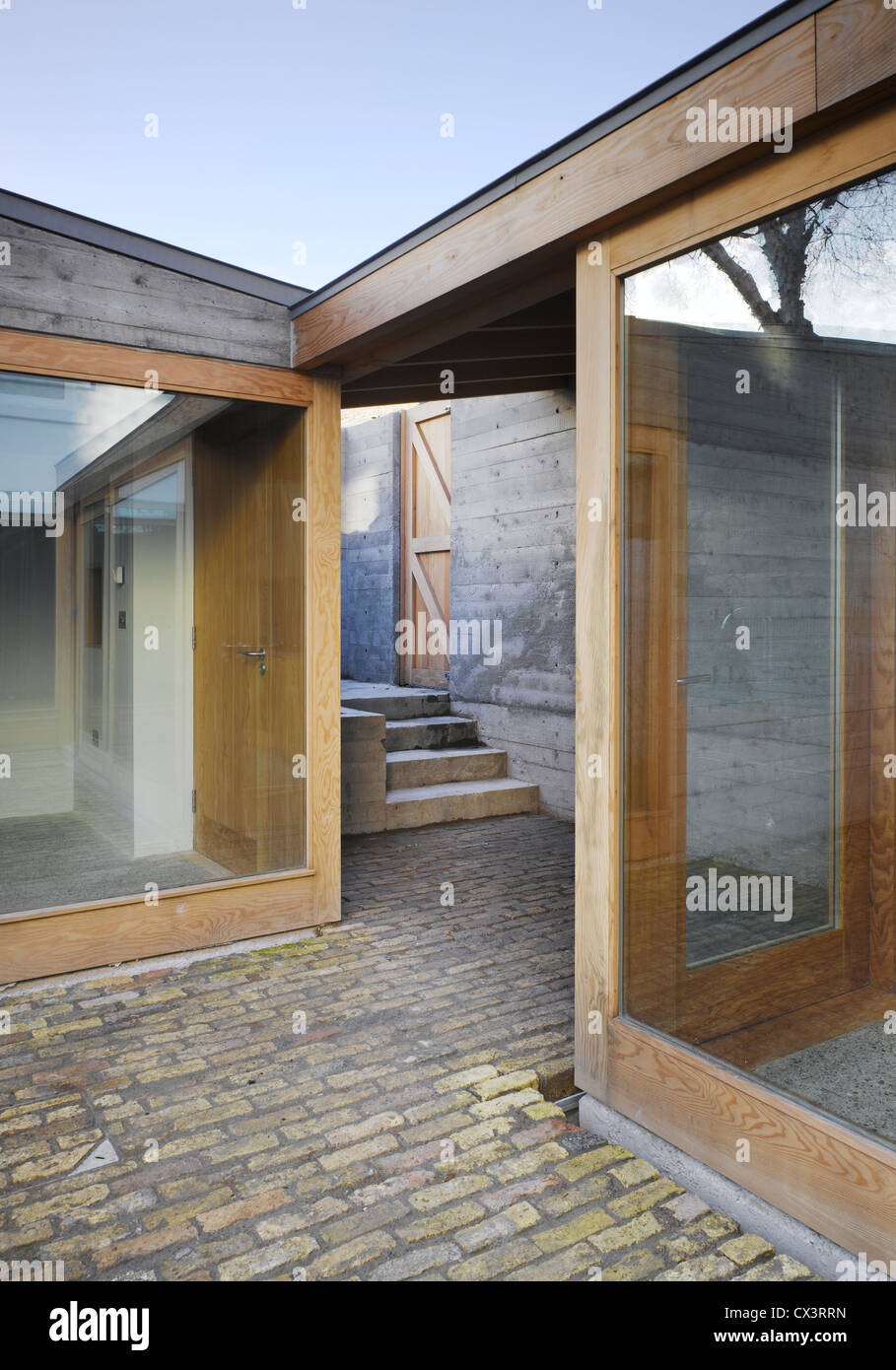 Laneway Wall Garden House, Portobello, Ireland. Architect: Donaghy ...