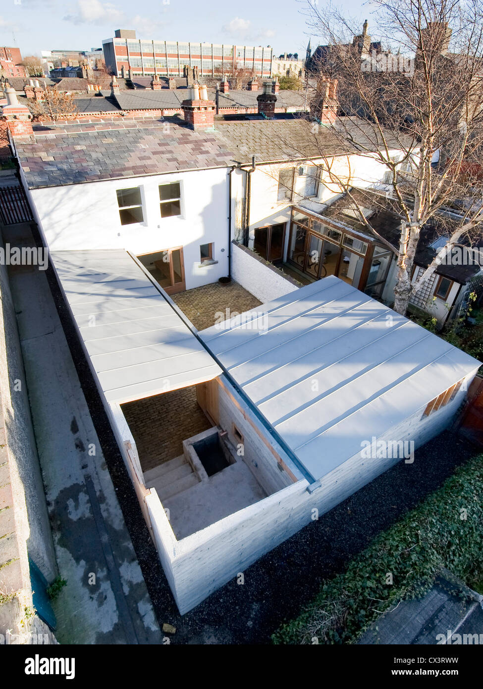 Laneway Wall Garden House, Portobello, Ireland. Architect: Donaghy ...