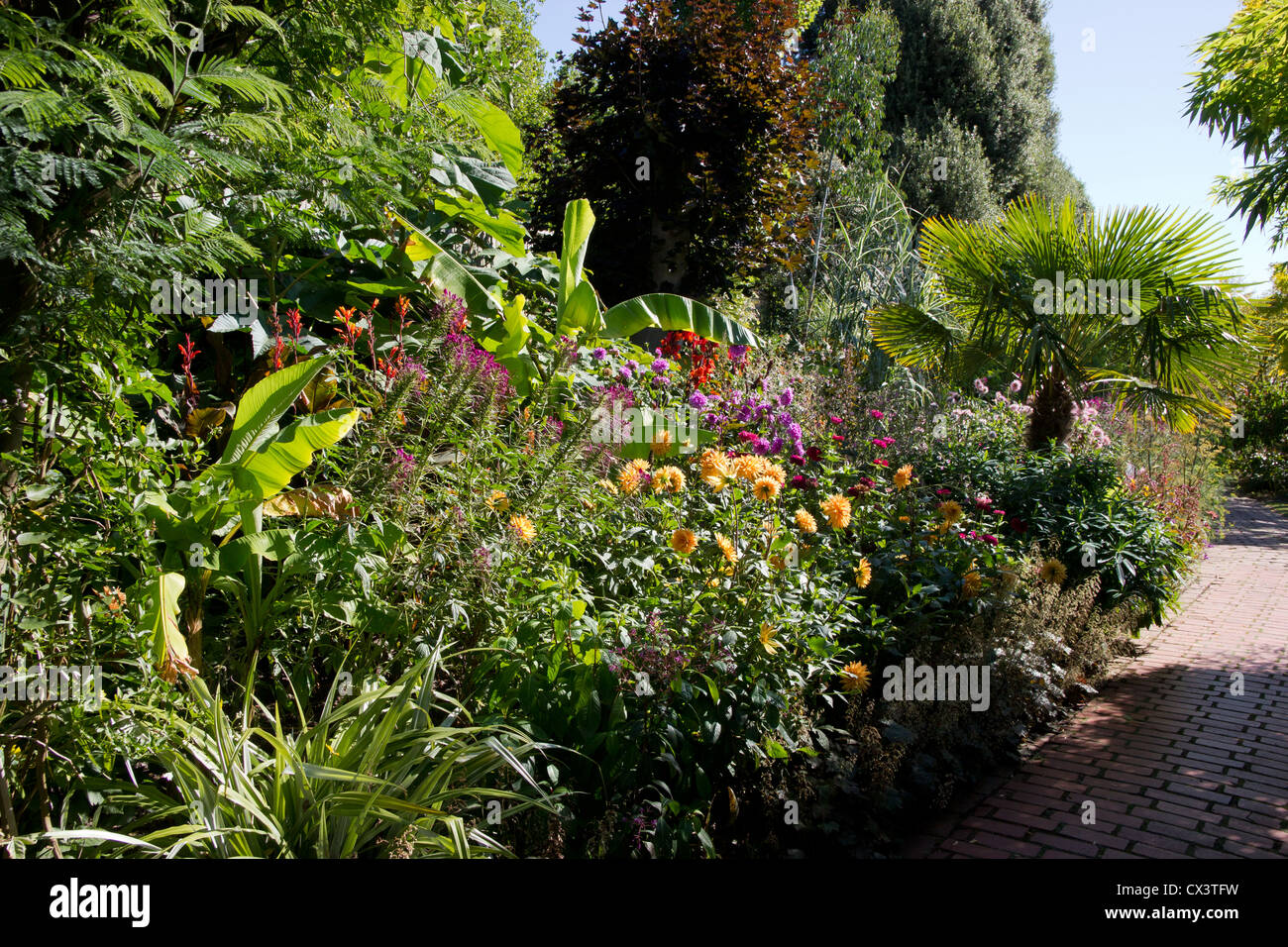 Flower Border at The Salutation – The Secret Gardens of Sandwich Stock ...